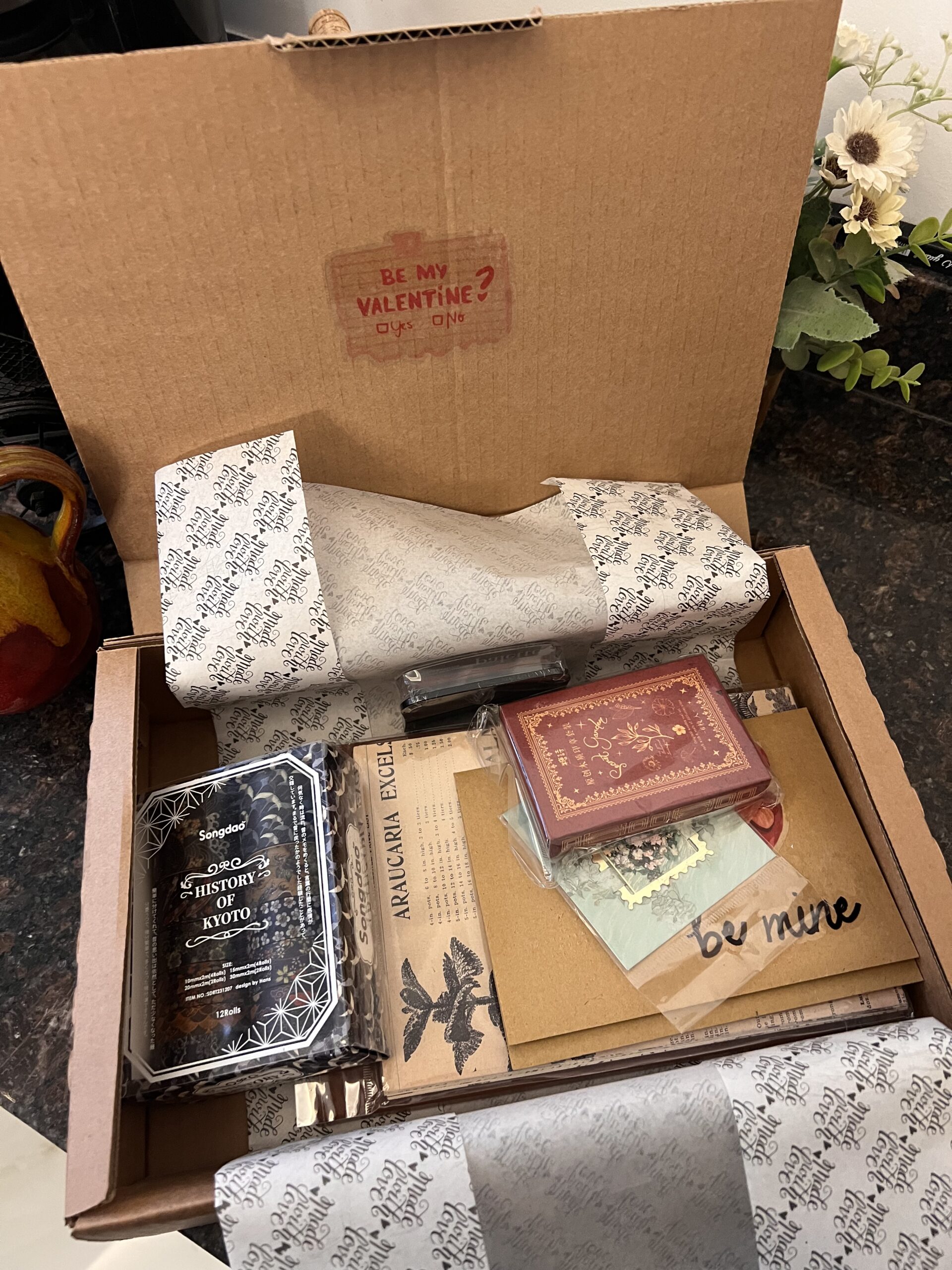 TSL Boxes – thescripterslounge.com